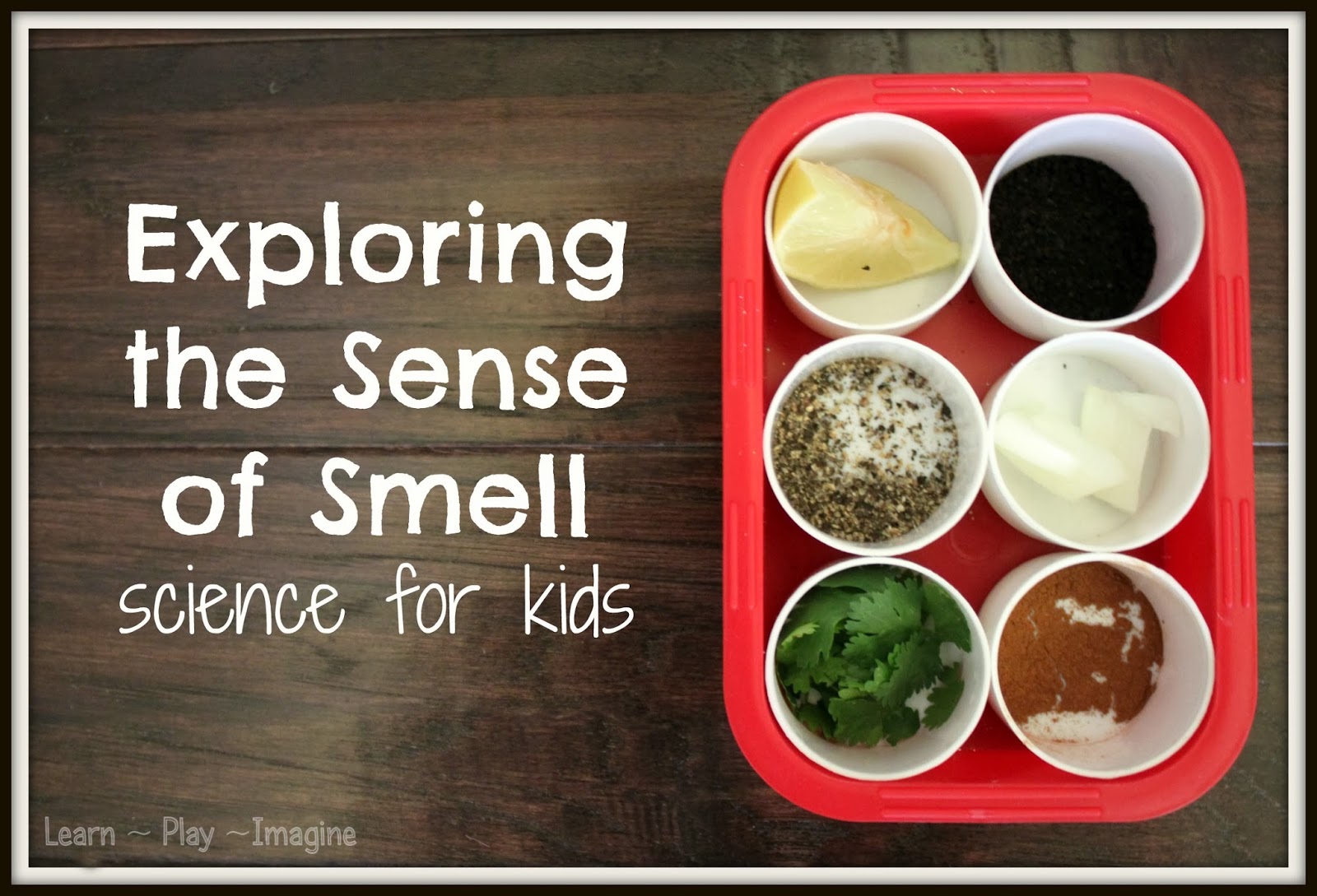 12 Games And Activities To Teach Children About The Five Senses Learn 12-games-and-activities-to-teach-children-about-the-five-senses-learn