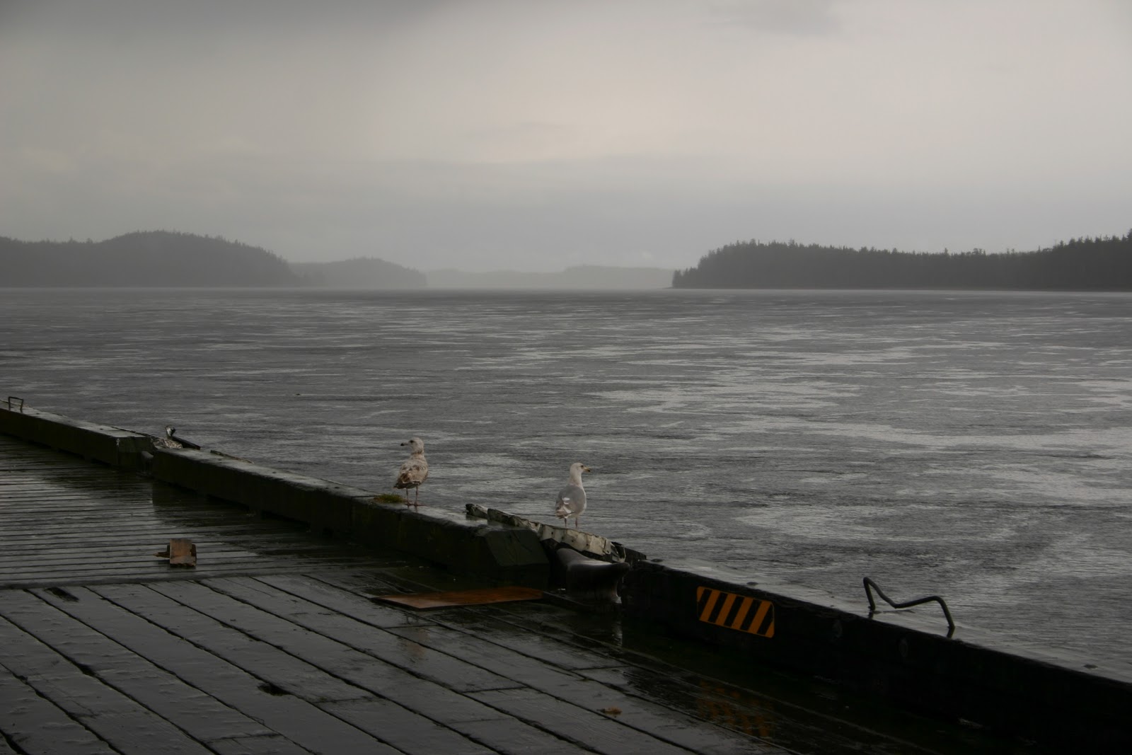 Haida Gwaii Tourism: Why I love Masset