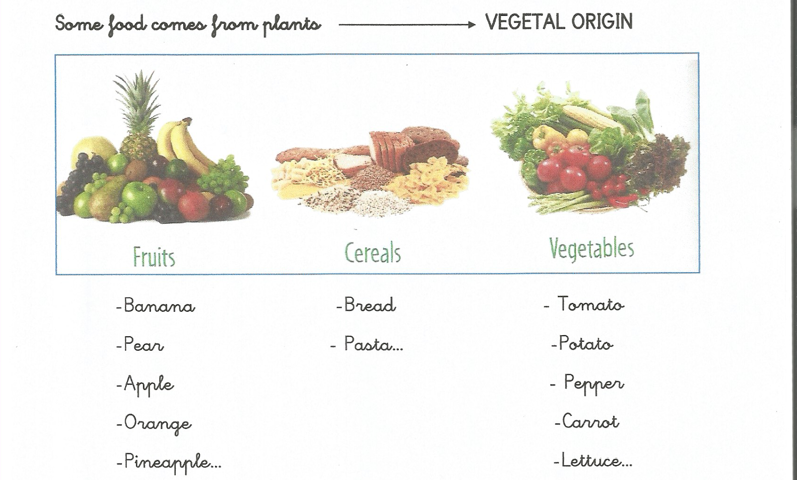 ¡Ya estamos en primaria!: Food from plants and animals (Alimentos que ...