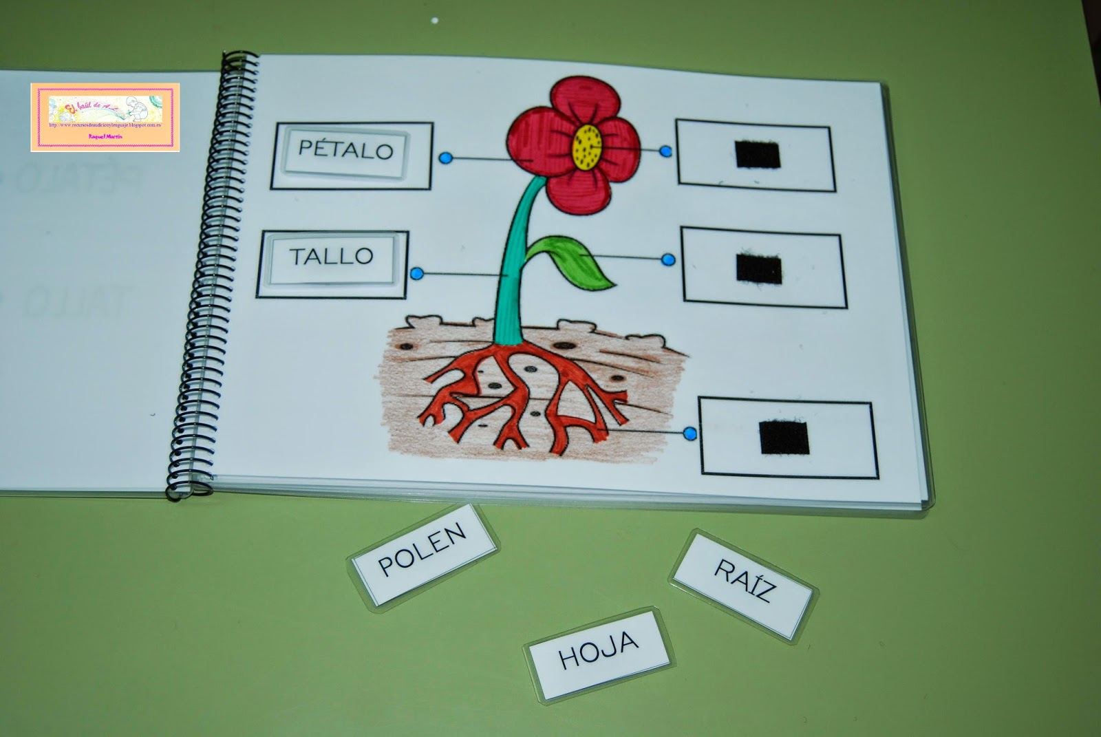 El baúl de A.L: Libro: "las plantas"
