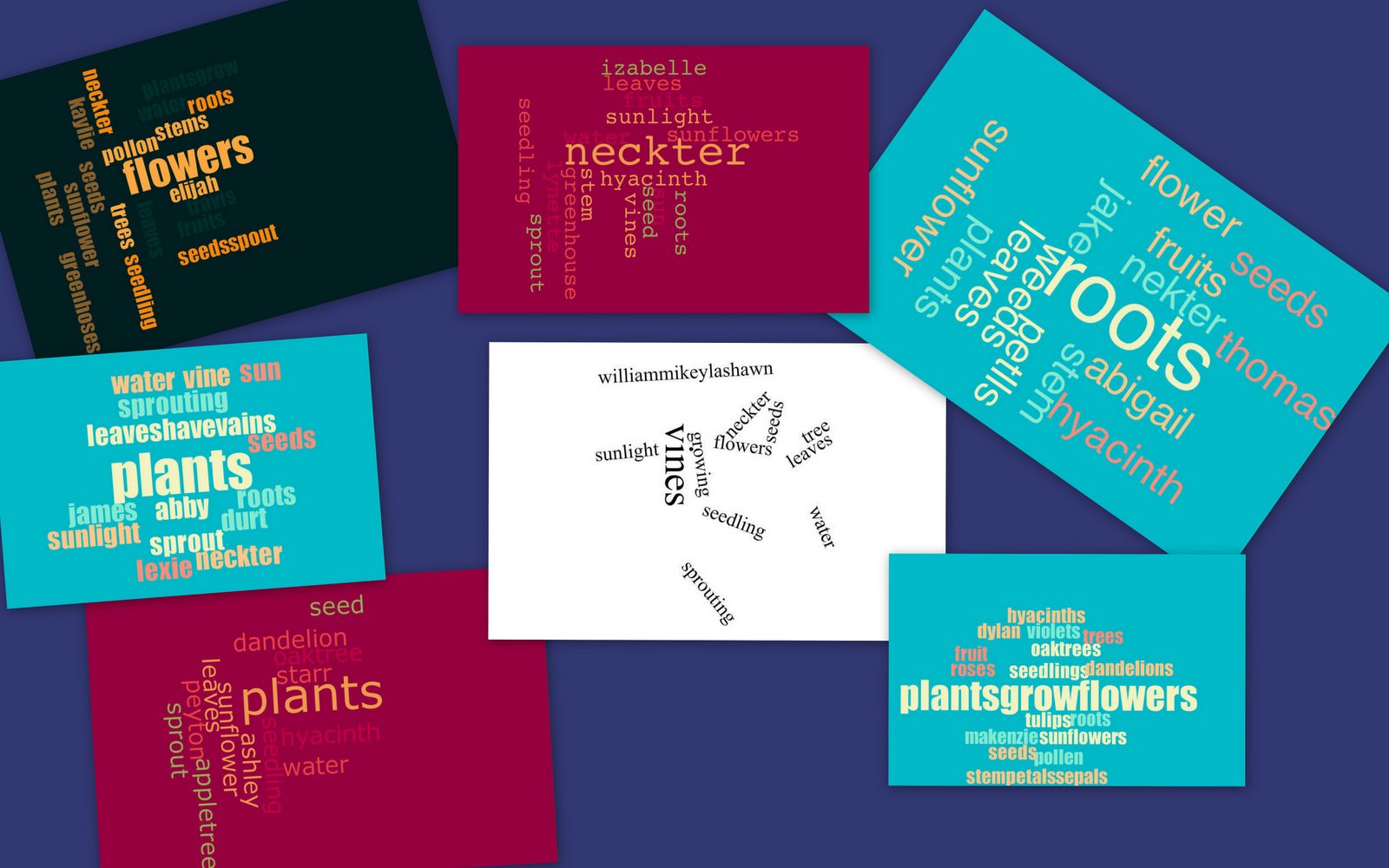 Room 105 Brainstorm Plant Words room-105-brainstorm-plant-words