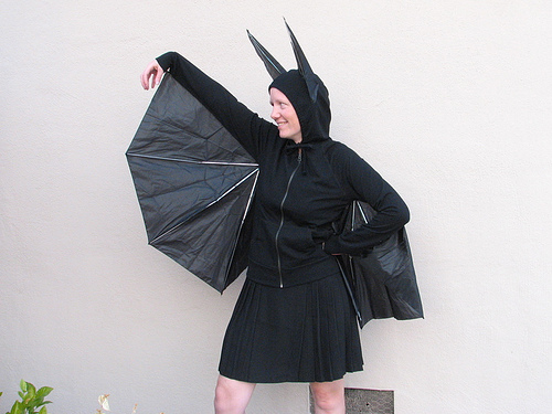 Batman Wings DIY Costumes batman-wings-diy-costumes