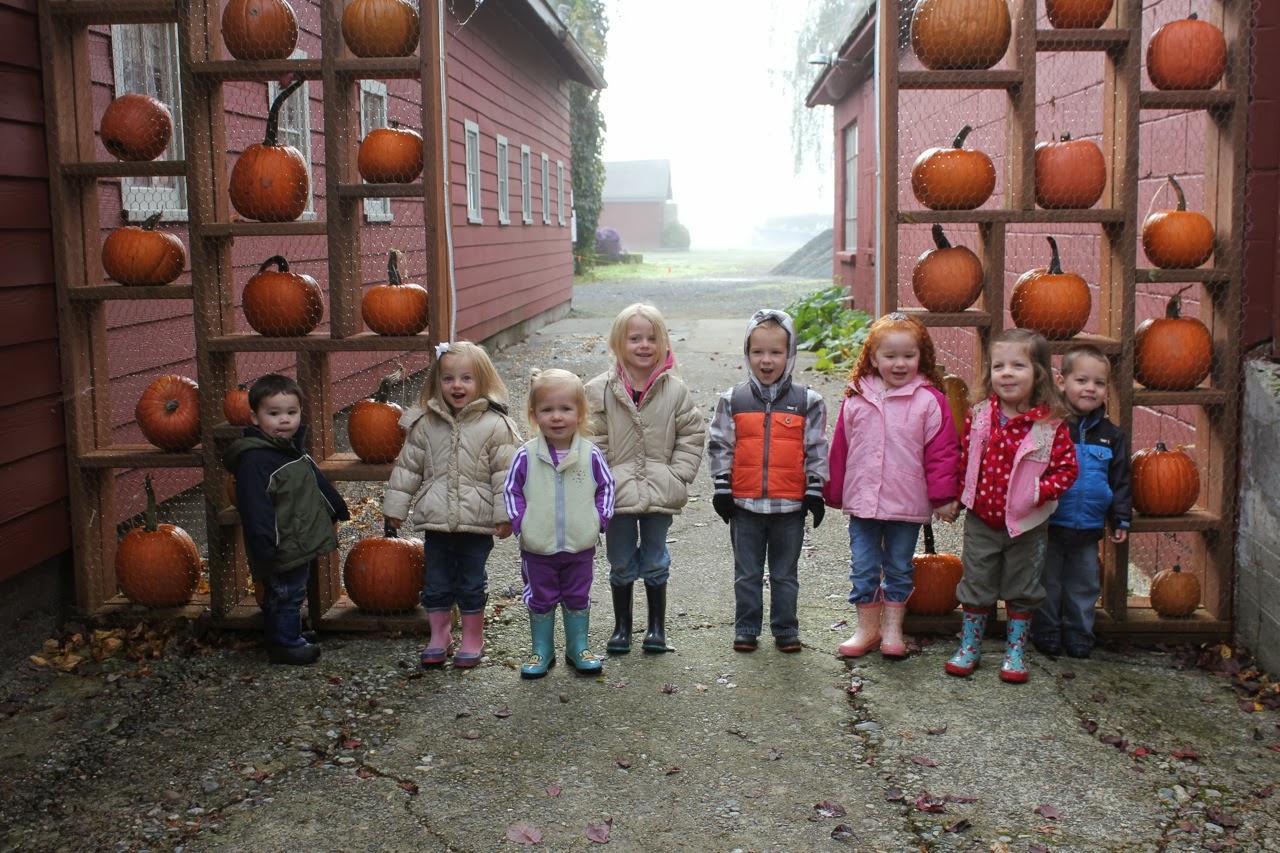 Schoolhouse Ronk: Preschool Pumpkin Patch Field Trip