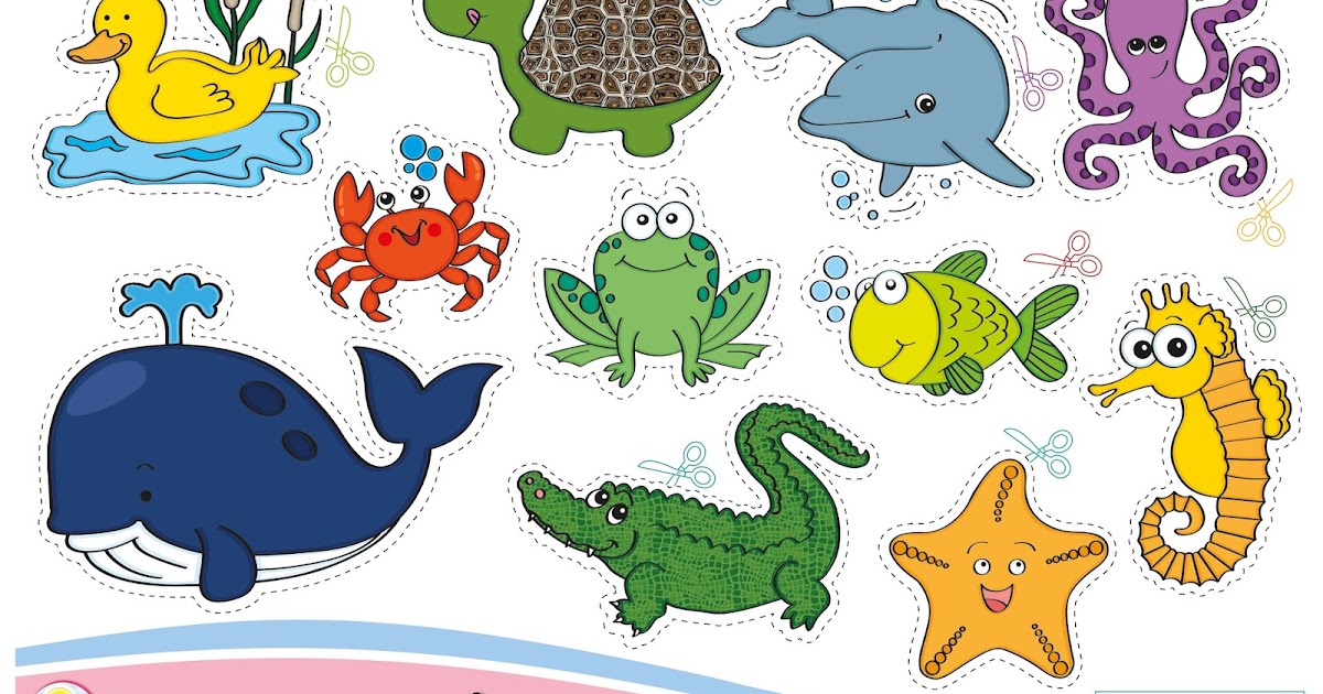 Papá Dios me ama - Vol. 1: Unidad 3 - Tema 2 - En el agua viven muchos ...