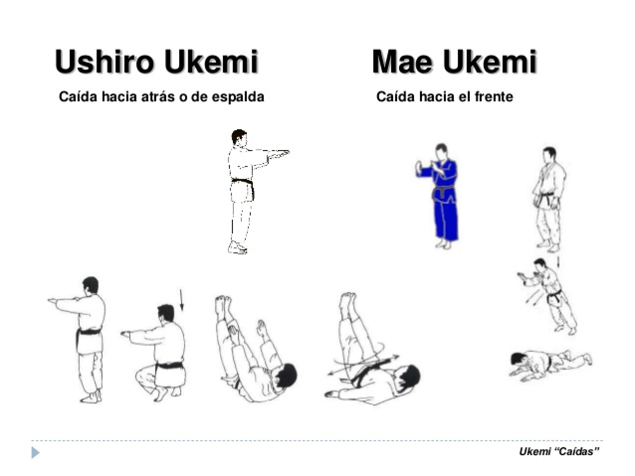 Prados Judo Técnicas: Saludo - Caídas