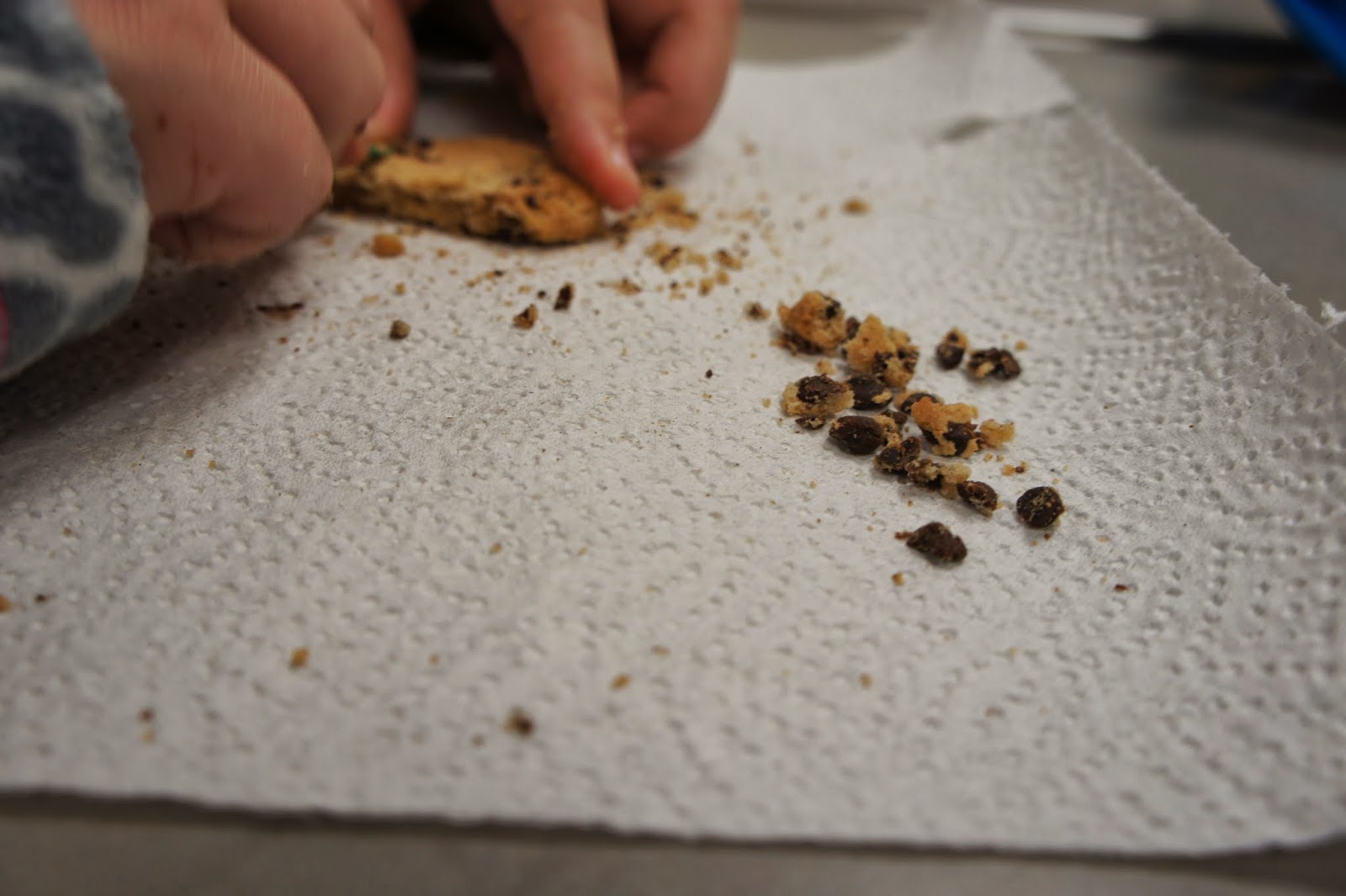 Science Pictures and a Multiplication Freebie | Ashleigh's Education ...