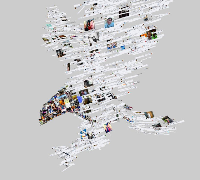 Facehawk ~ Kuriositas