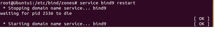 How to setup DNS BIND service in Ubuntu OS - Middleware|Technologies