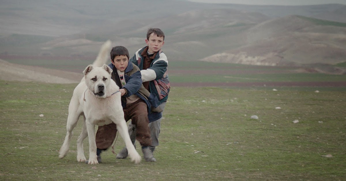 The Frame Game: Venice Review: Sivas του Kaan Mujdeci The Frame Game: Venice Review: Sivas του Kaan Mujdeci