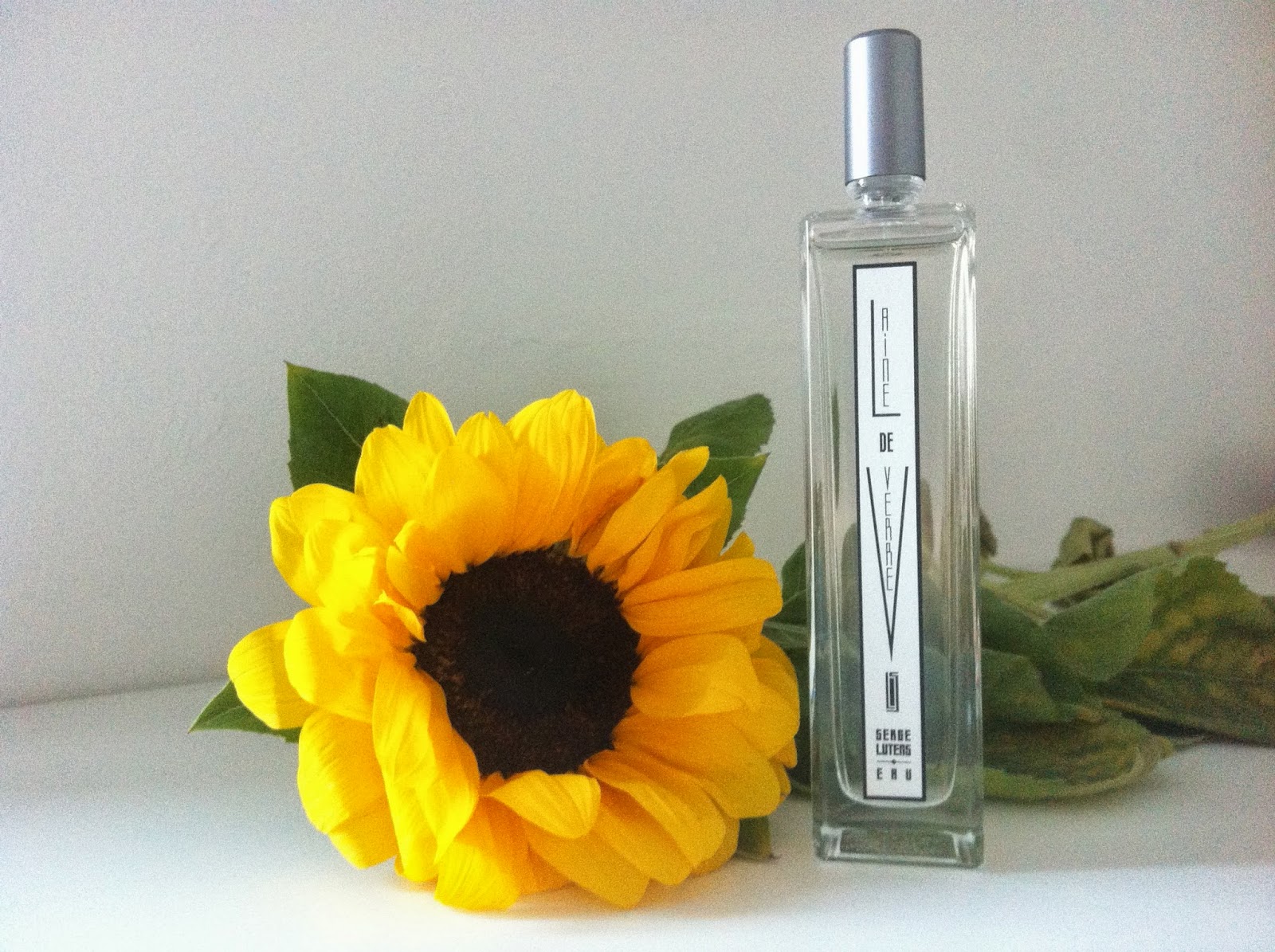 Profumi estate 2014: i miei preferiti tra note fresche, floreali, agrumate e metalliche ...