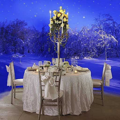 Best Wedding Idea Natural Winter Wedding Decorations best-wedding-idea-natural-winter-wedding-decorations