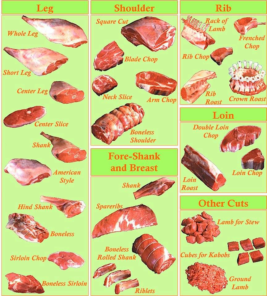 ENSINO DE LINGUA INGLESA MEAT PARTS OF IT ensino-de-lingua-inglesa-meat-parts-of-it