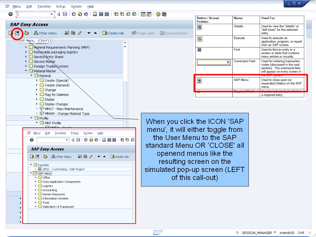 SAP Froggy s SAP Insights N13 SAP Buttons ICONS Explained sap-froggy-s-sap-insights-n13-sap-buttons-icons-explained