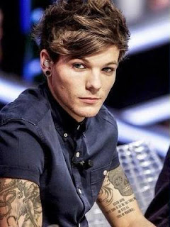 Directioner Problems: The Struggles