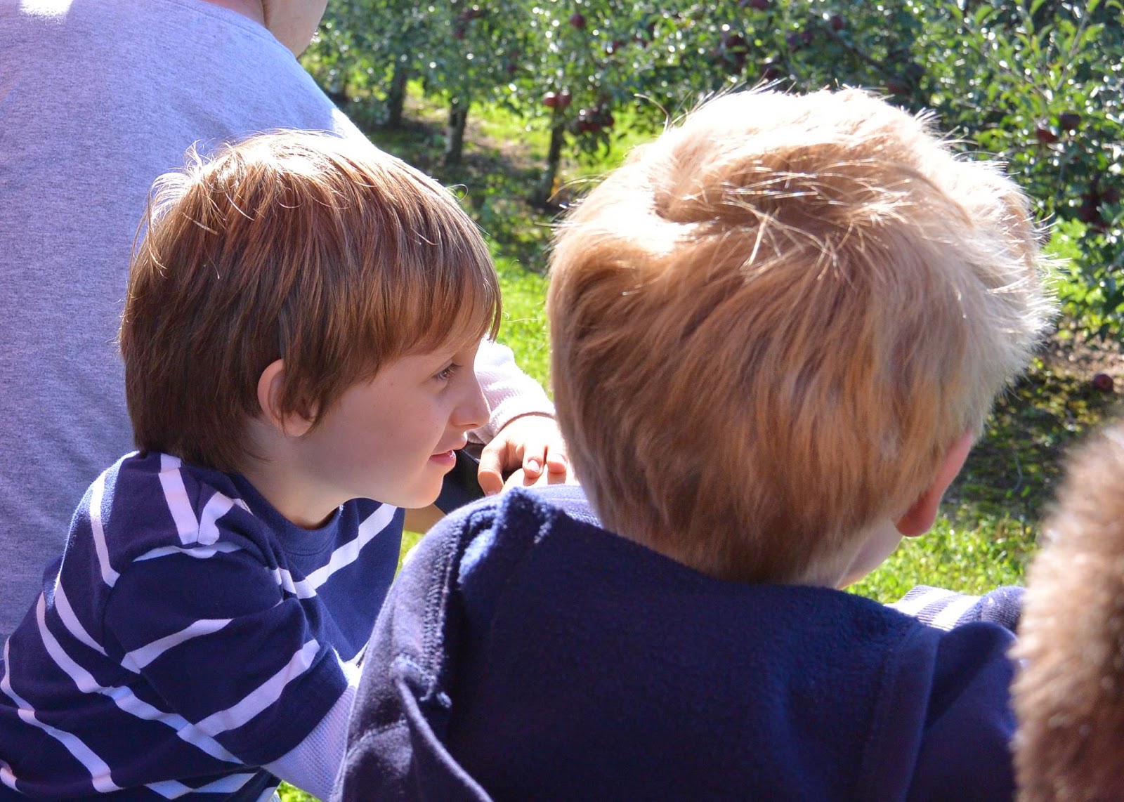 Bio Girl: First Kindergarten Field Trip: The Apple Orchard