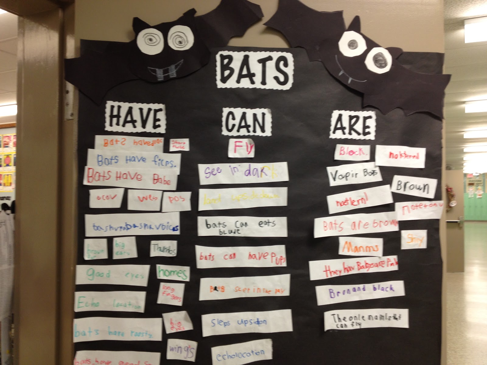 Going Batty in 1st Grade! - Megan Mitchell
