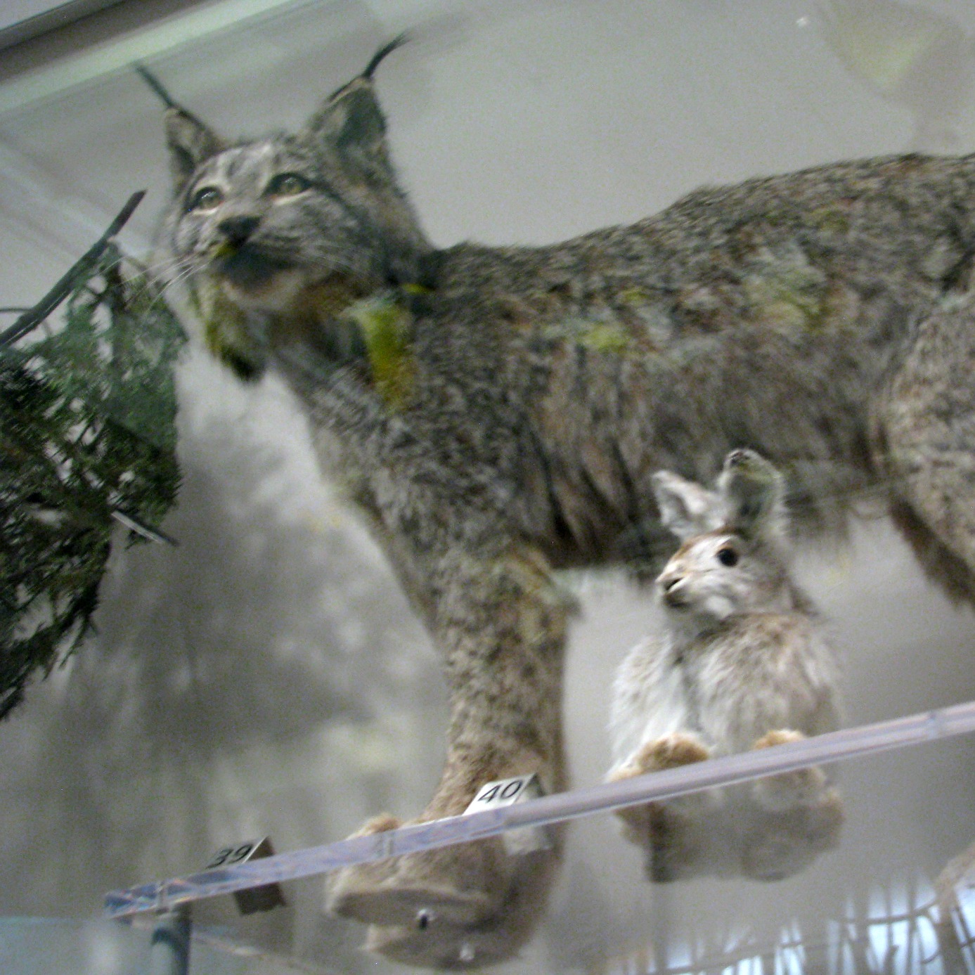 MarilynAnneCampbell.com: Delightful Drama at the ROM