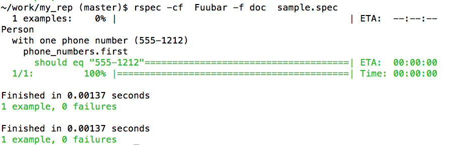 RSpec evidence with progress bar