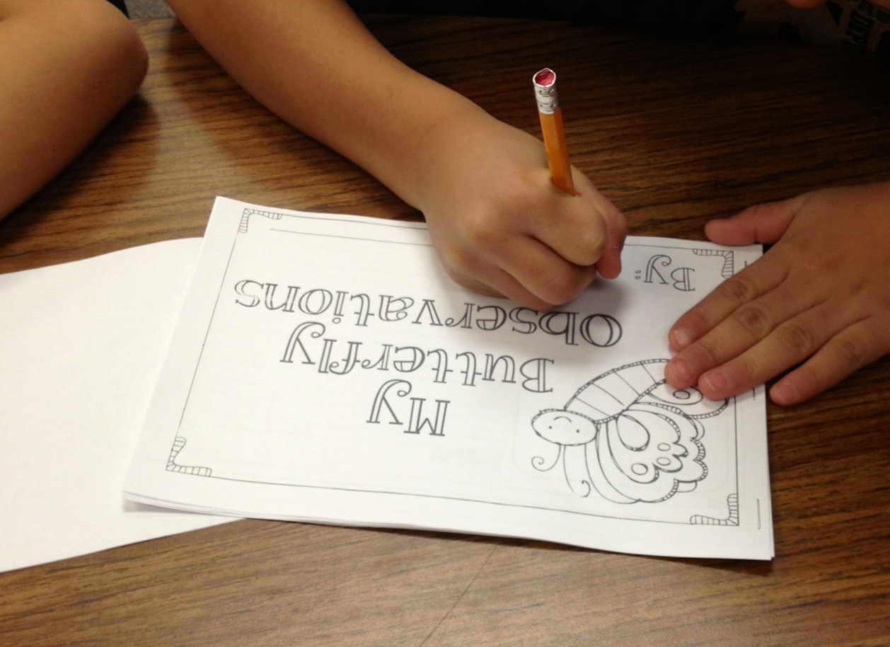 Butterflies! and a freebie! - Susan Jones Teaching