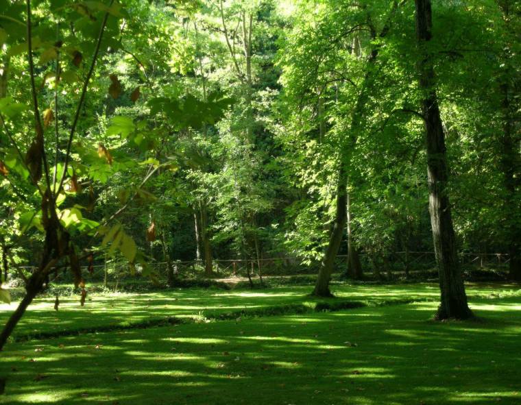 Fondos de paisajes verdes - Imagui