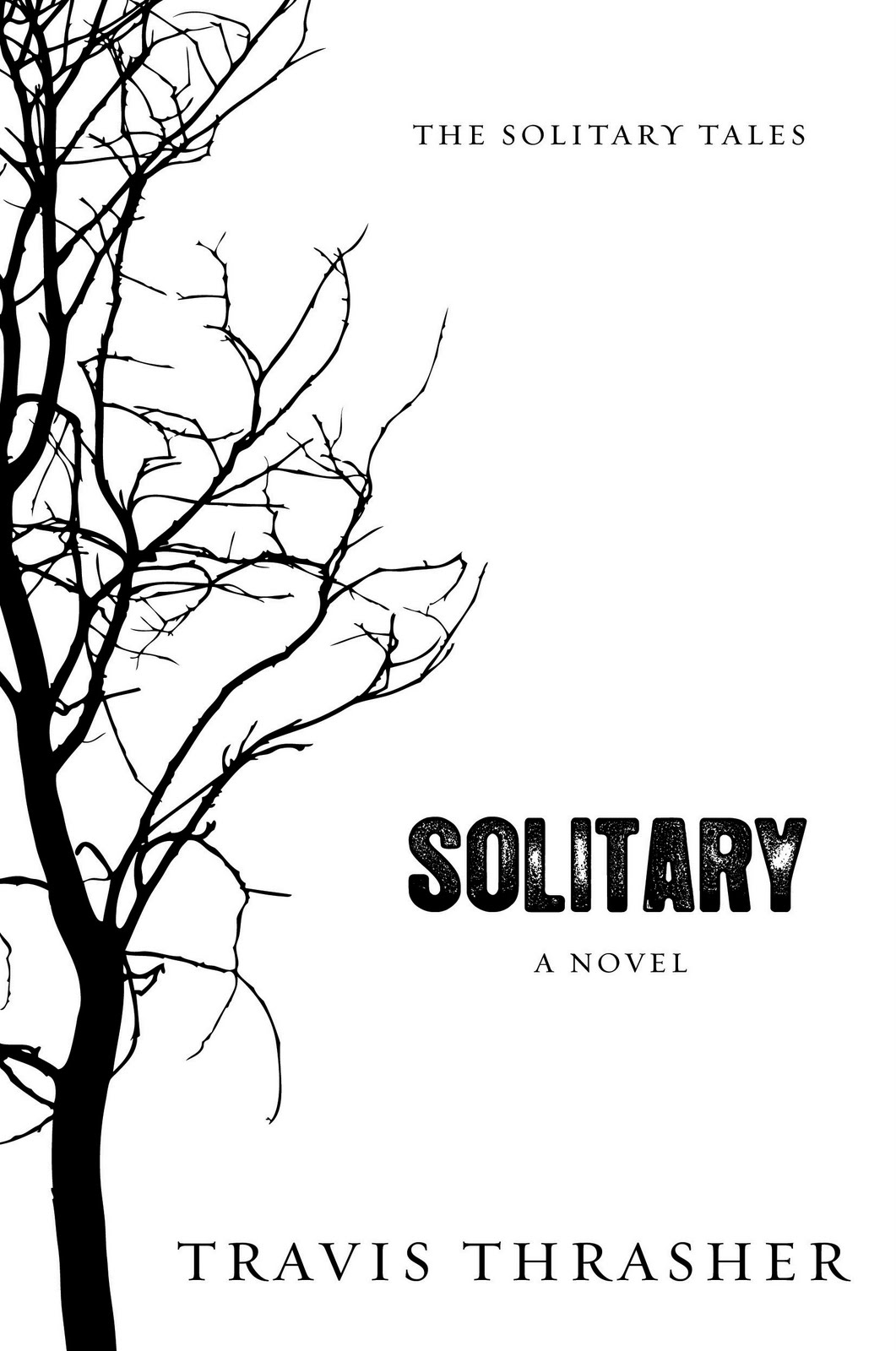 Some Thoughts On SOLITARY The Journey Is Everything some-thoughts-on-solitary-the-journey-is-everything