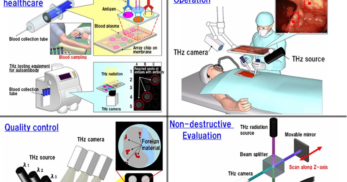 Sustainable Mycology: Terahertz imaging applications Sustainable Mycology: Terahertz imaging applications