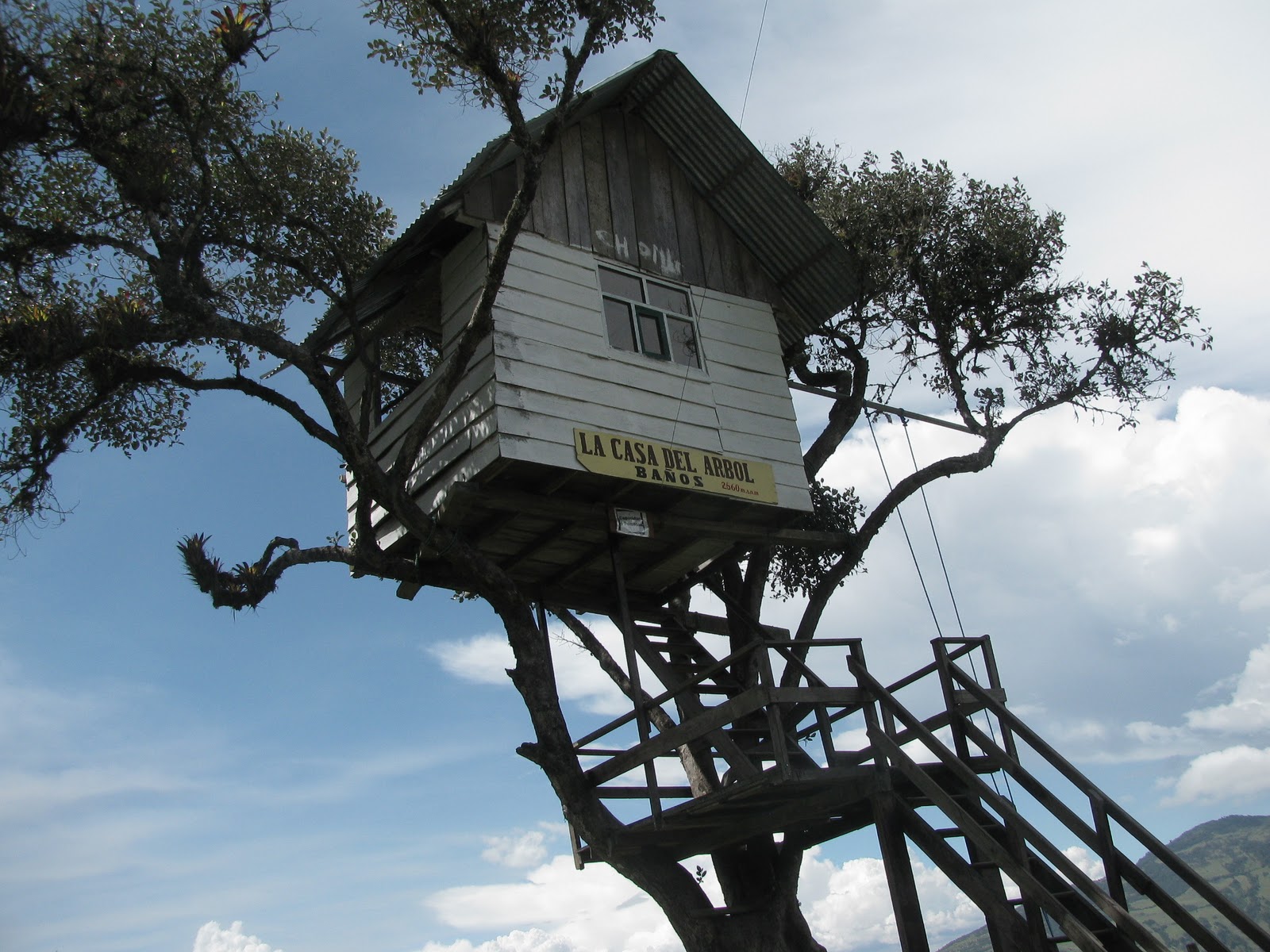 Viajando en Auto: La Casa del Arbol