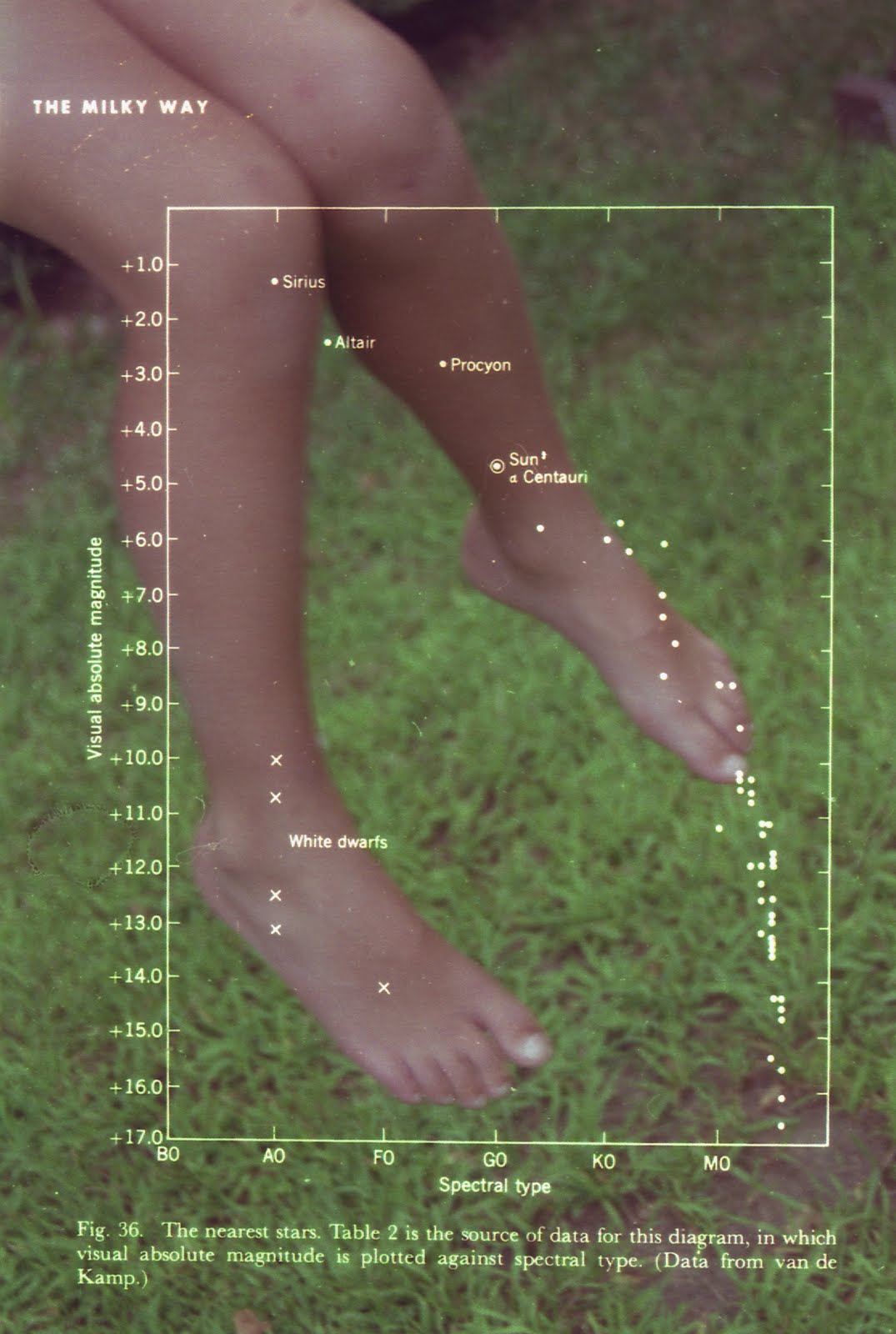 The Kindness Of Meaning The Milky Way the-kindness-of-meaning-the-milky-way