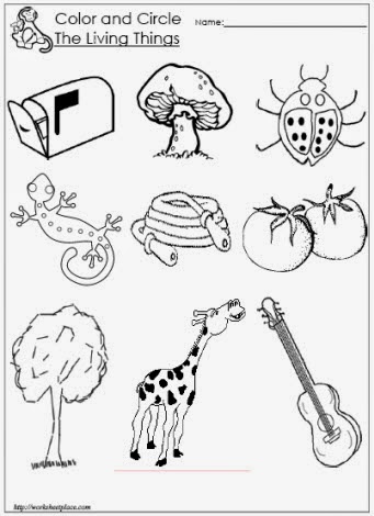 43 best ideas for coloring | Living Things Coloring Pages