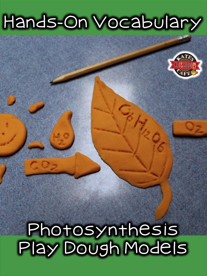 Photosynthesis for Interactive Notebooks - Captivate Science