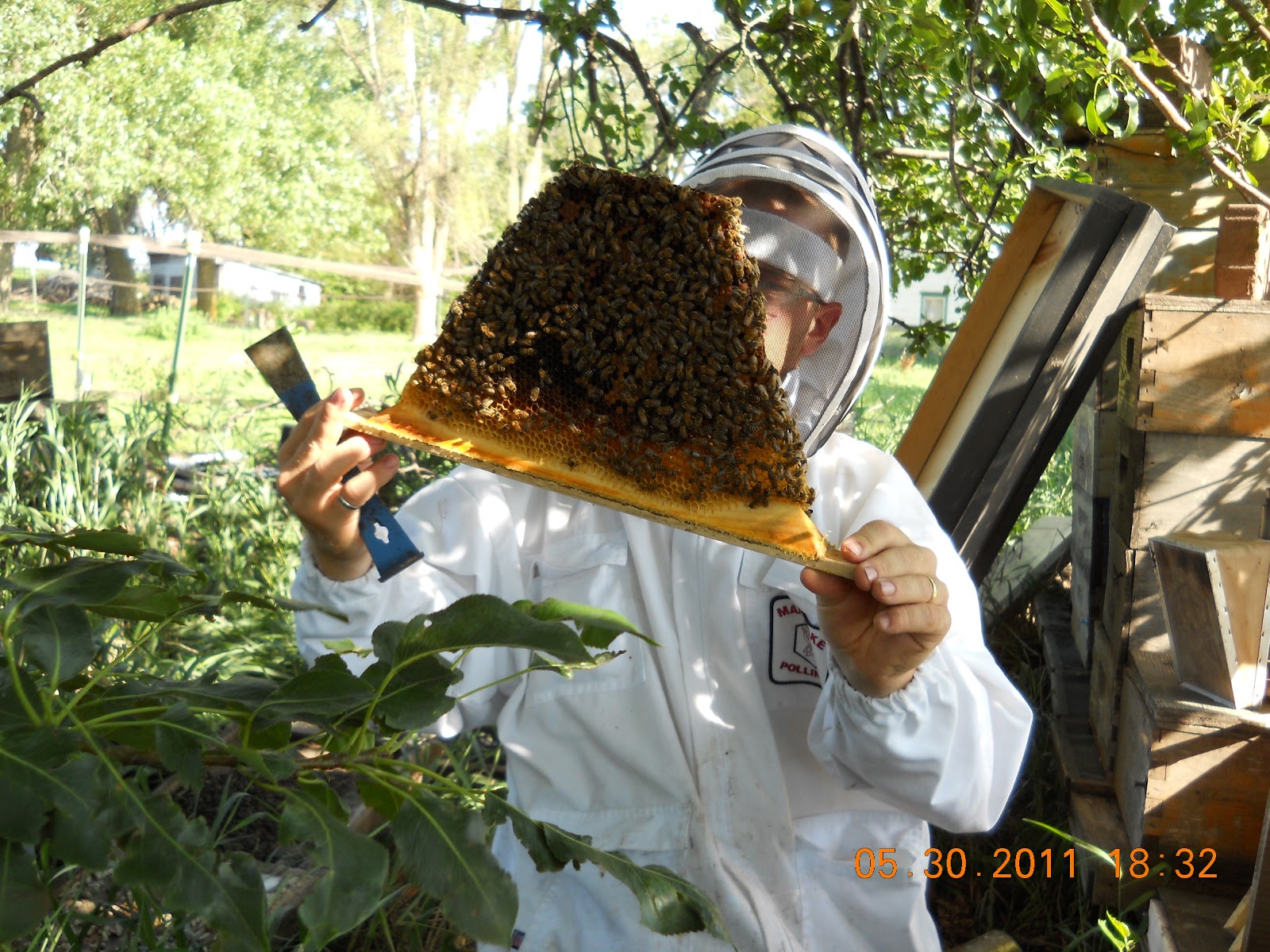To make it real | Beesource Beekeeping Forums