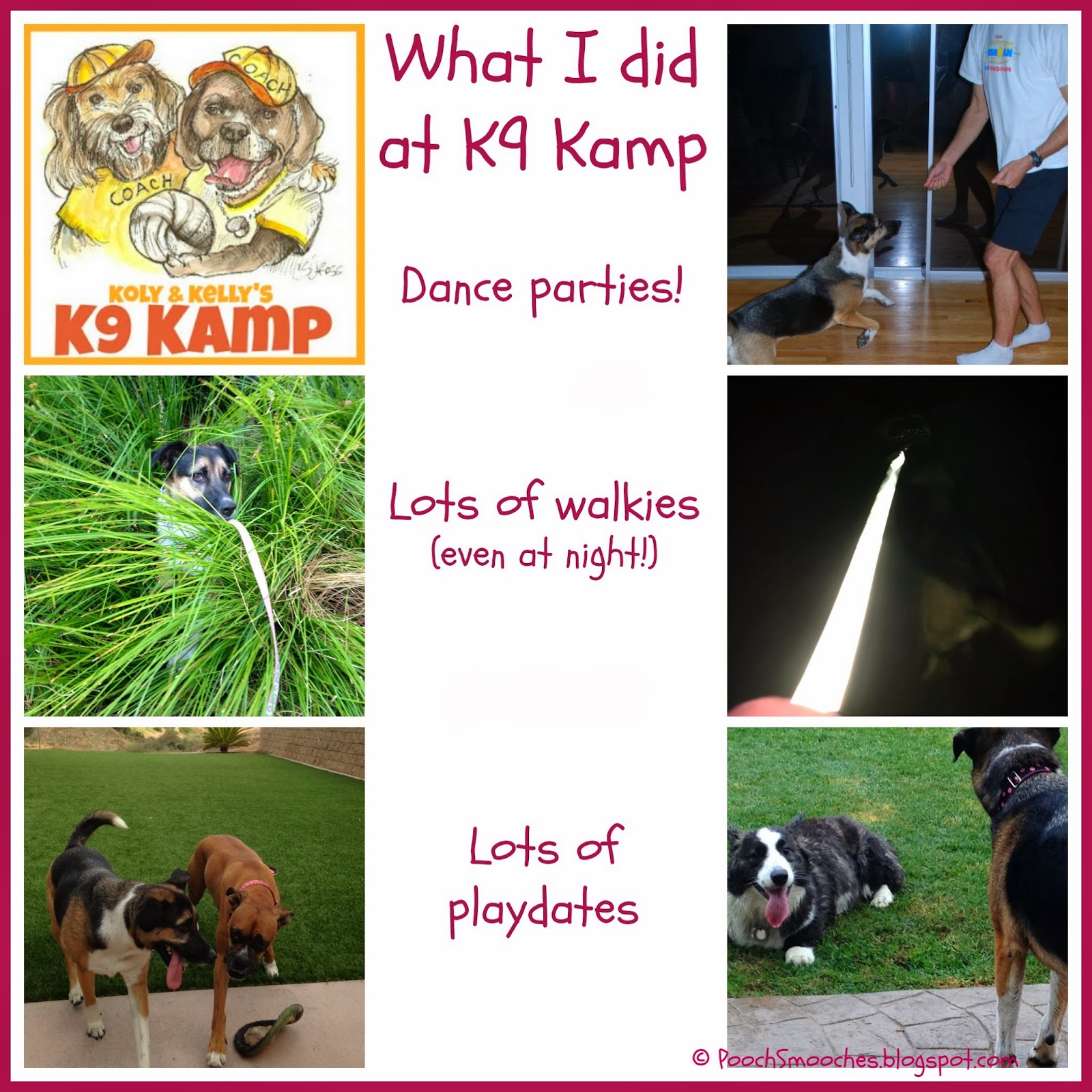 Pooch Smooches: Mirth Watch Thursday: The End of K9 Kamp (for Now!)