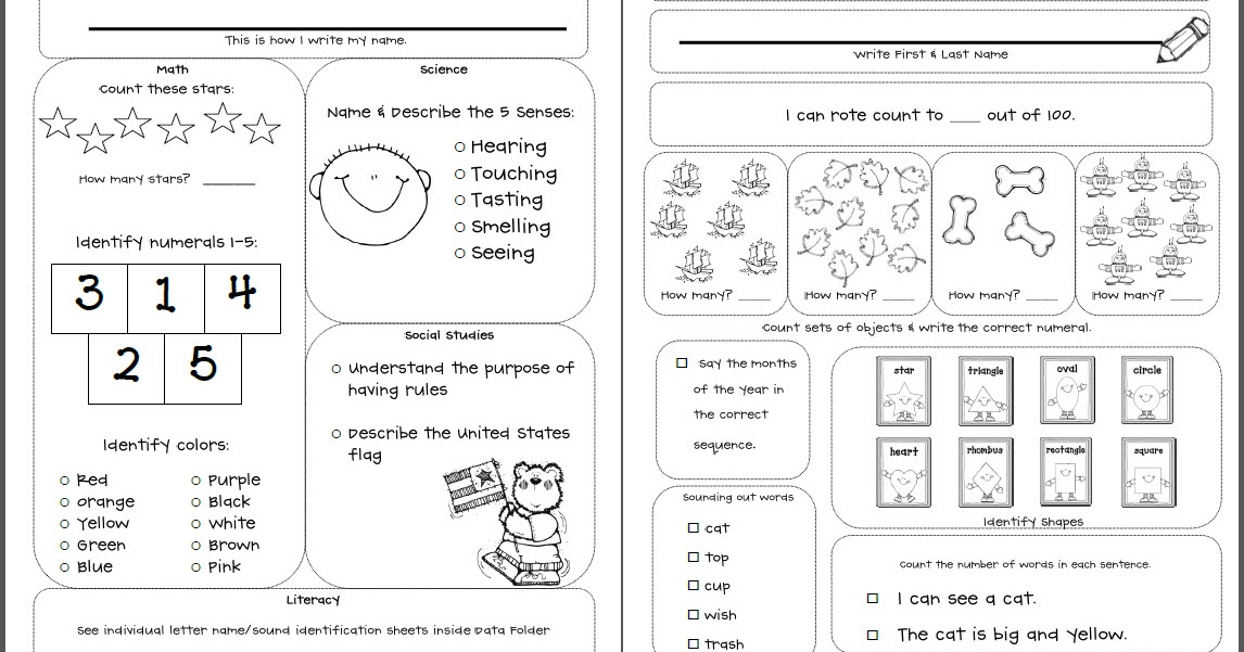Data Folders for Kindergarten Freebie :)