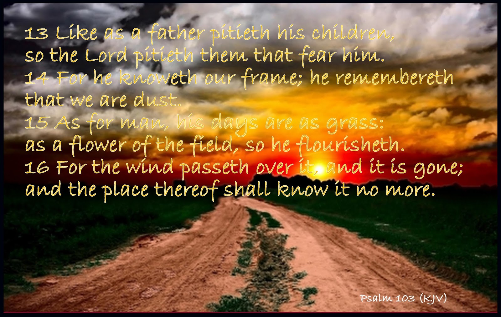 Red Pill Diaries: Psalm 103 (KJV) Red Pill Diaries: Psalm 103 (KJV)