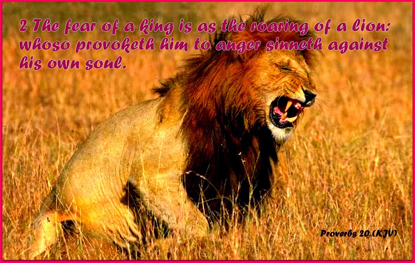 Red Pill Diaries Proverbs 20 KJV red-pill-diaries-proverbs-20-kjv
