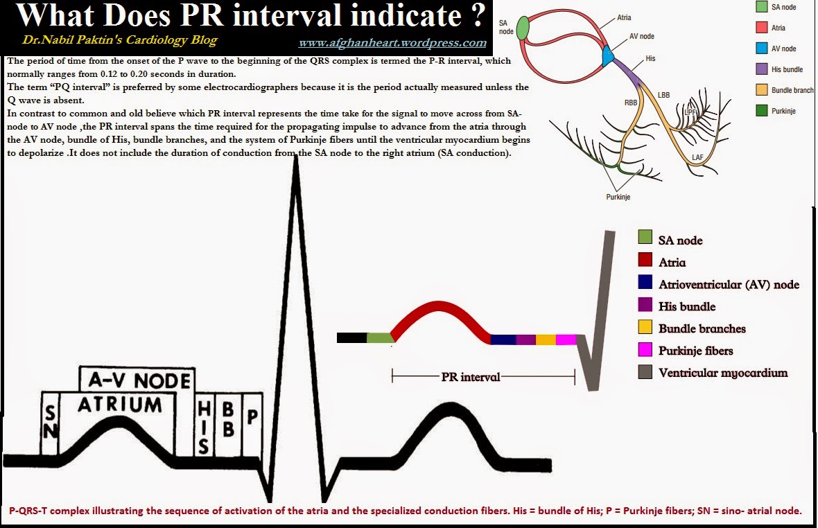 Dr Nabil Paktin s Cardiology Blog dr-nabil-paktin-s-cardiology-blog