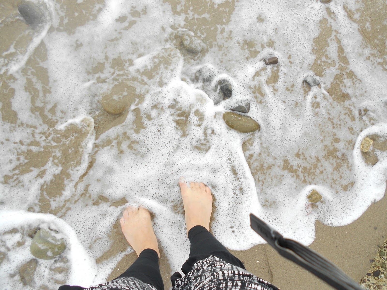 Waves Of Mercy January 15 The Beginning The Celebration waves-of-mercy-january-15-the-beginning-the-celebration