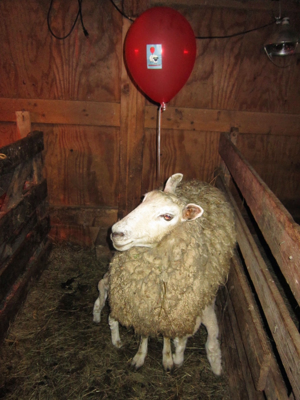 floatingsheep: May 2014