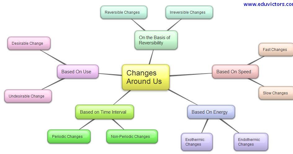 CBSE Papers, Questions, Answers, MCQ ...: CBSE Class 6 Science - CH6 ... CBSE Papers, Questions, Answers, MCQ ...: CBSE Class 6 Science - CH6 ...