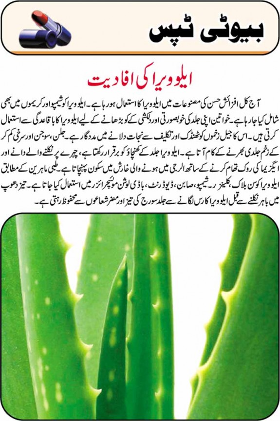 Aloe Vera Benefits In Urdu Faiday Fawaid Tareeqa Tarika Fazilat aloe-vera-benefits-in-urdu-faiday-fawaid-tareeqa-tarika-fazilat