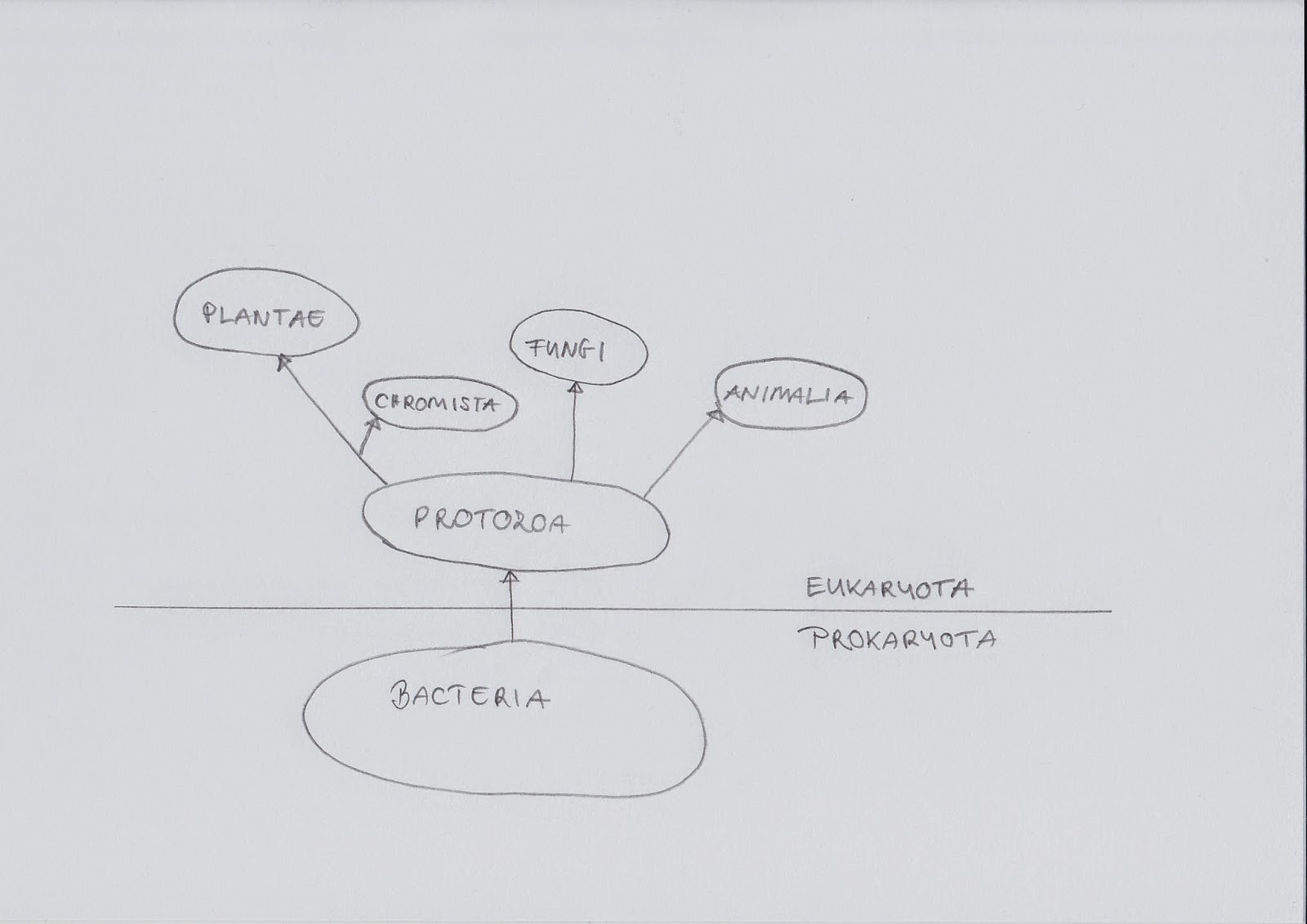 High School Biology high-school-biology