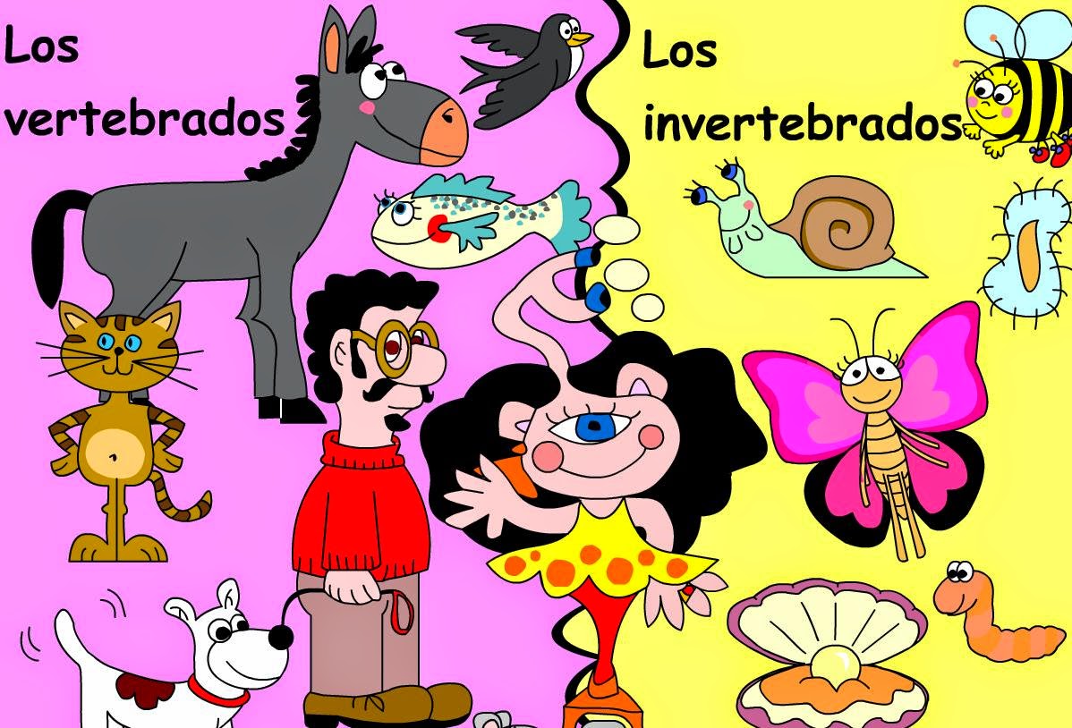 Los animales vertebrados e invertebrados: diferencias