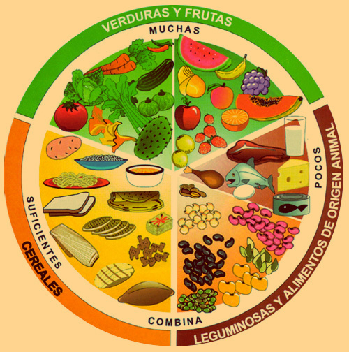 Conoce los tres grupos de alimentos esenciales: guía completa