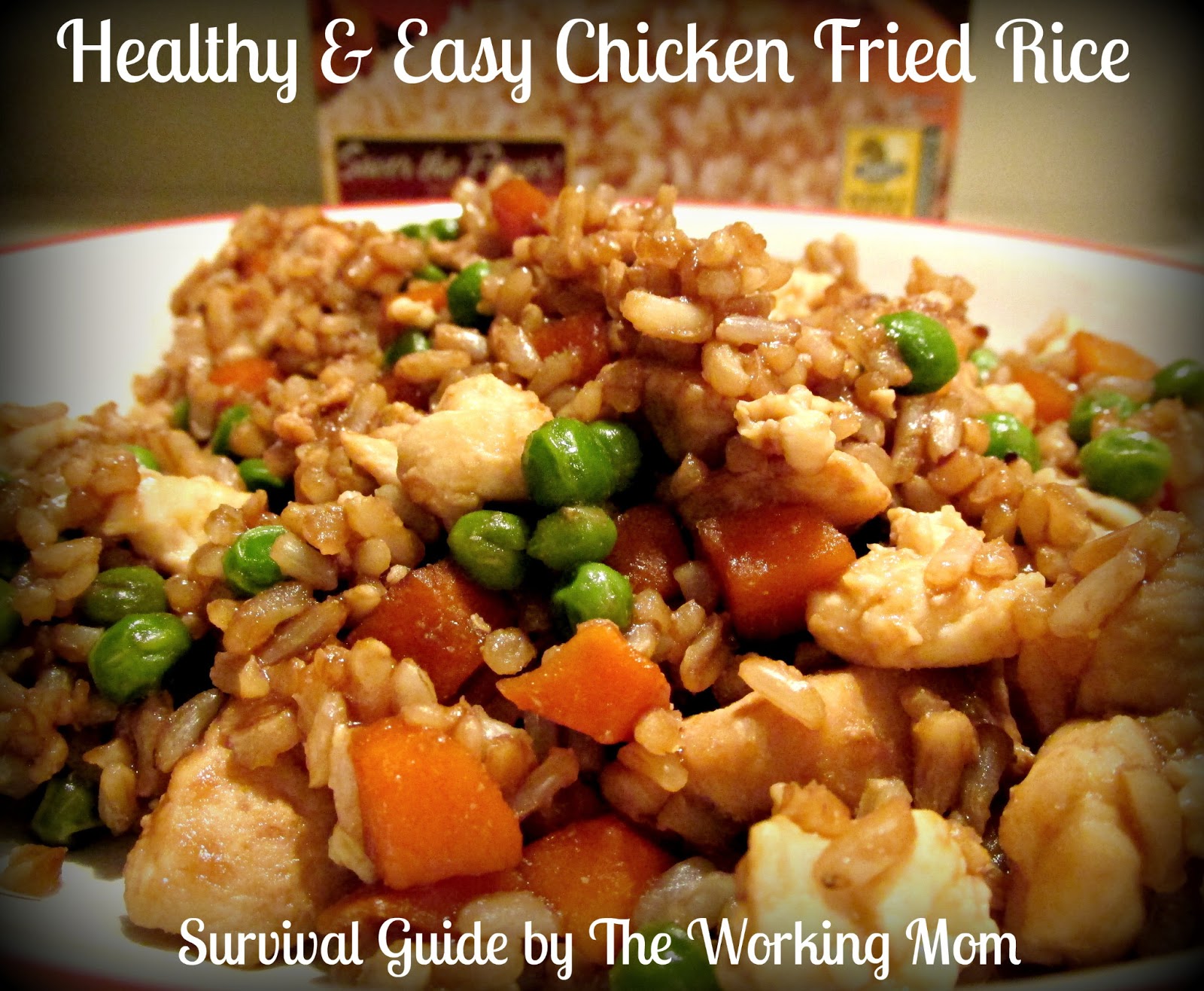 Healthy Food Guide Chocolate Brownie 620 Chicken Rice Dinner Recipes Healthy Zucchini healthy-food-guide-chocolate-brownie-620-chicken-rice-dinner-recipes-healthy-zucchini