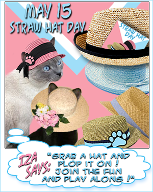 Cats of Wildcat Woods: Happy Straw Hat Day - May 15