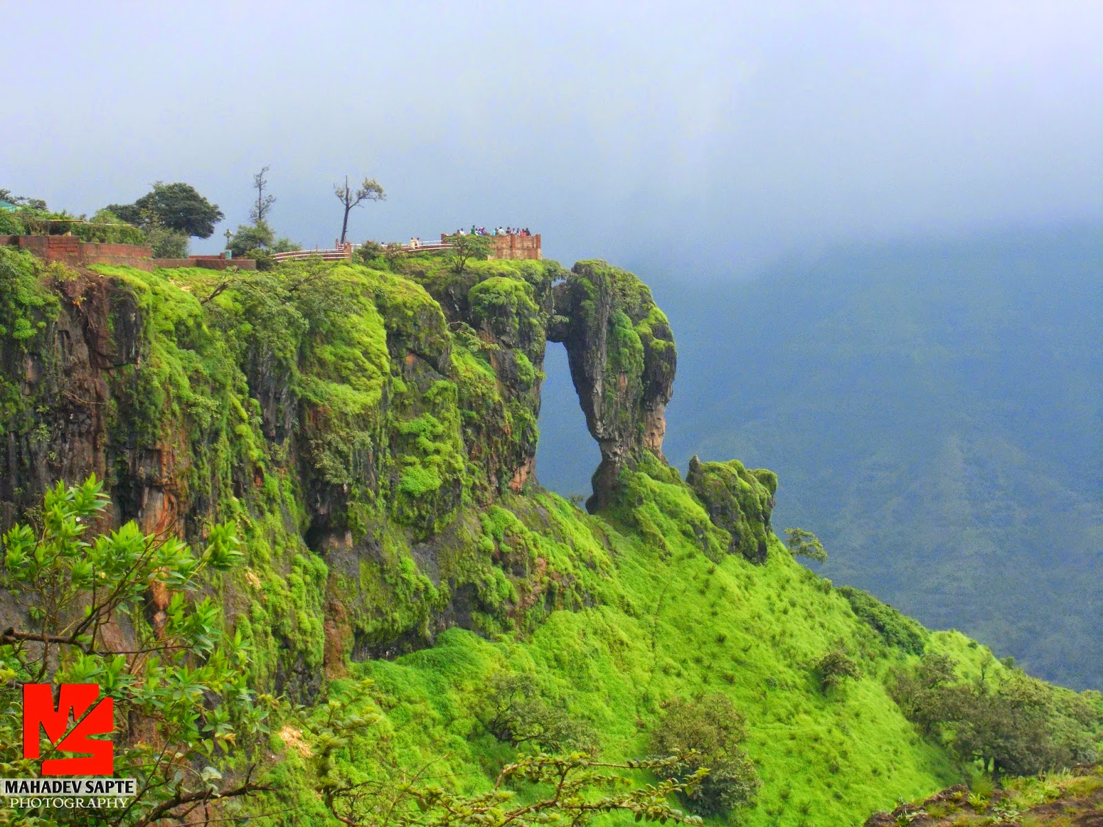 Satara - Mahabaleshwar - Pratapgad - Thoseghar -Kas Pathar & Sahyadri | Photos- Mahadev Sapte ...