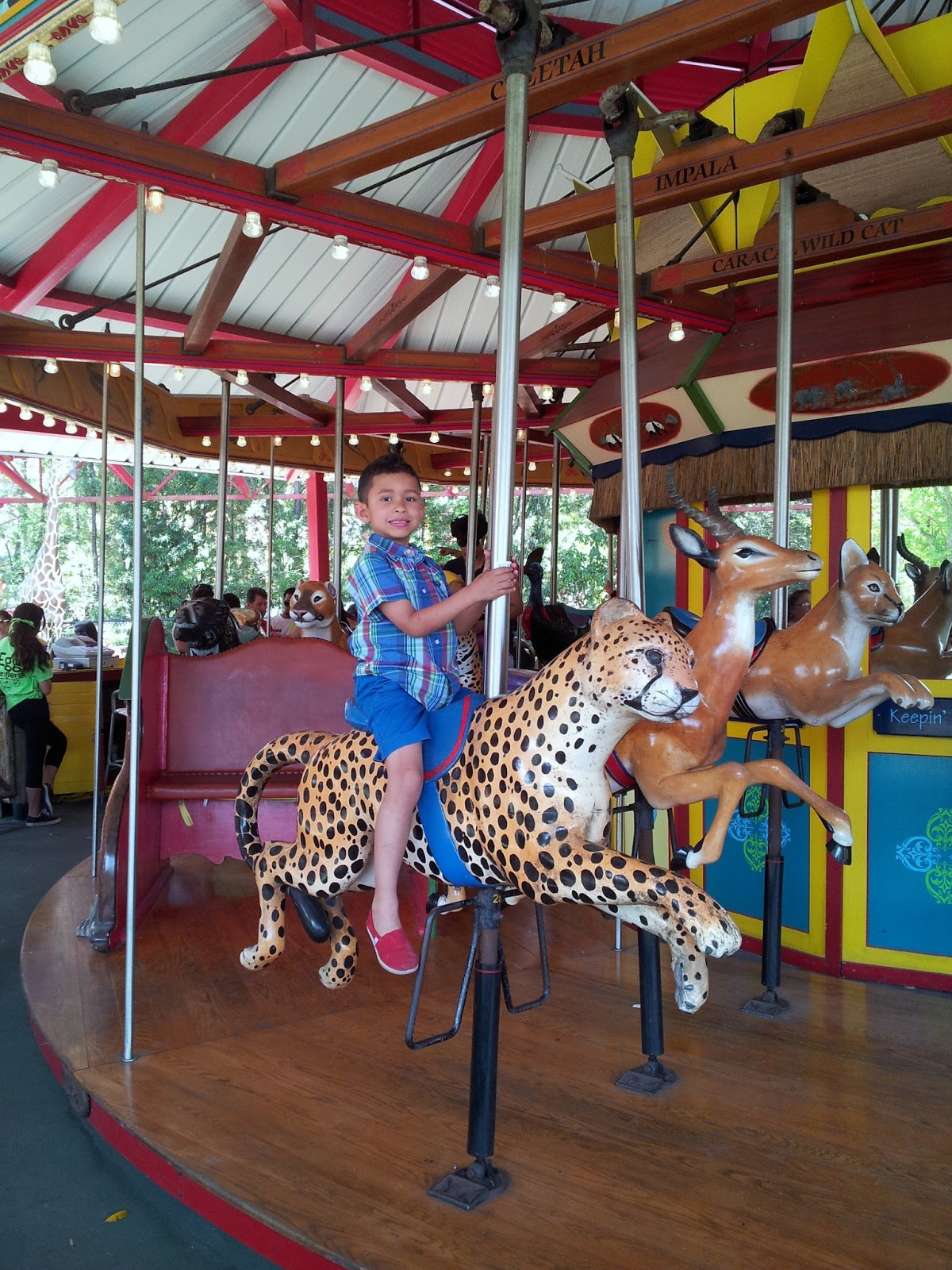 Second Chances Girl - a Miami family and lifestyle blog!: Zoo Fun Second Chances Girl - a Miami family and lifestyle blog!: Zoo Fun