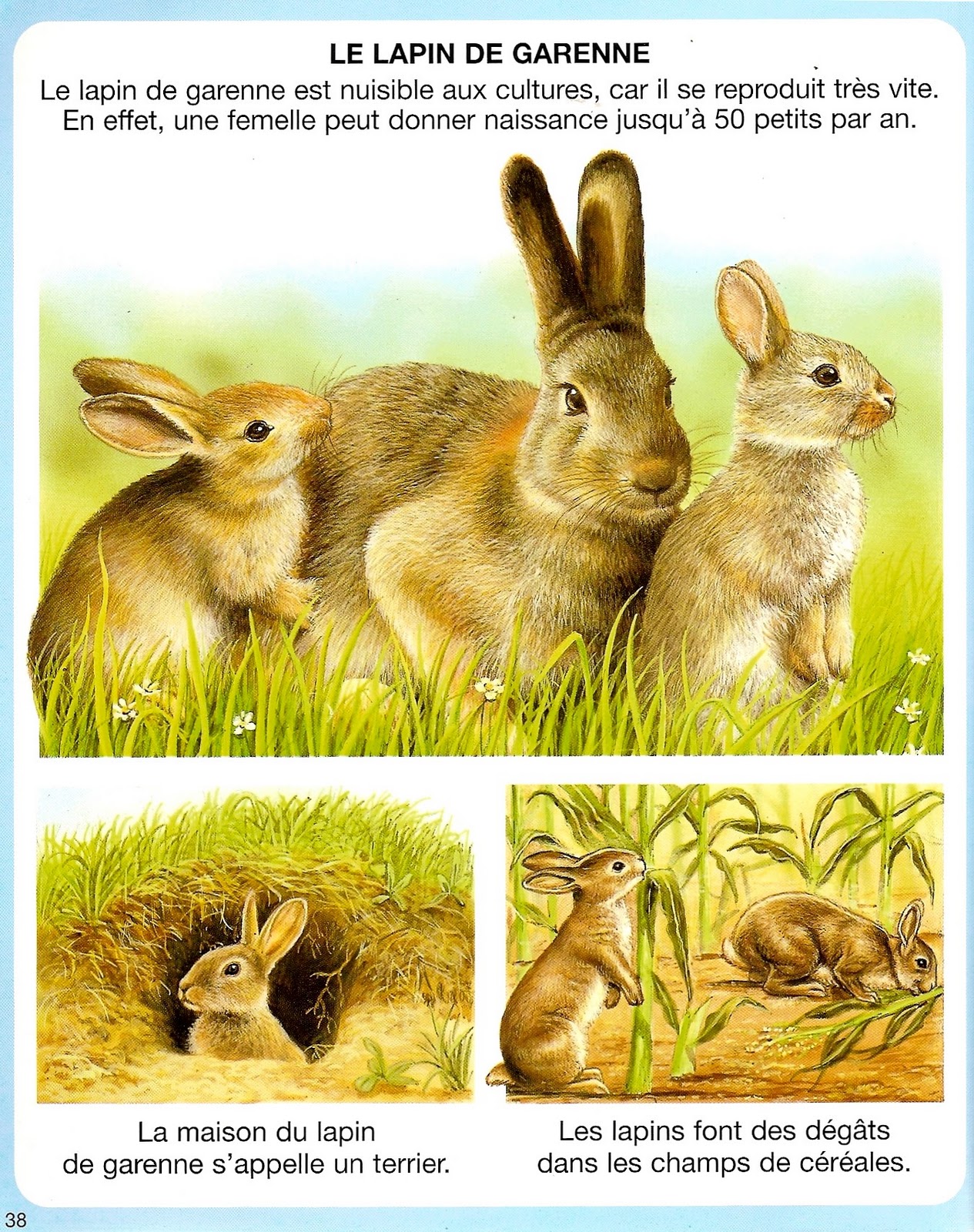 école : références: Imagiers : sites et docs