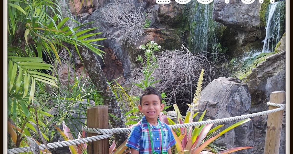 Second Chances Girl - a Miami family and lifestyle blog!: Zoo Fun Second Chances Girl - a Miami family and lifestyle blog!: Zoo Fun