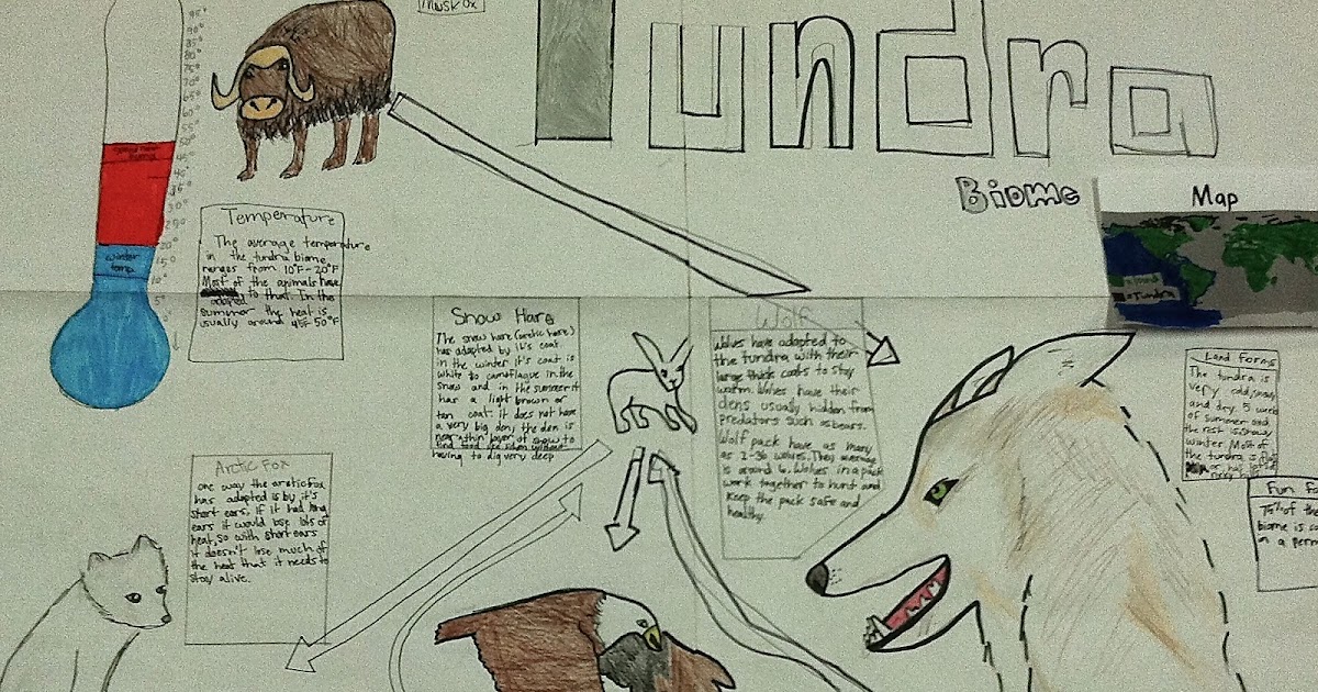 Hello Learning!: Biomes Poster Project